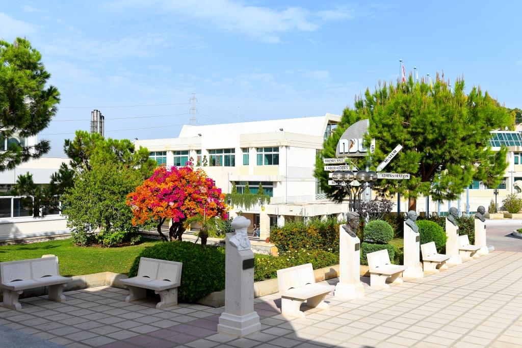 About NDU | Offices | Offices | Office of the President | Office of ...